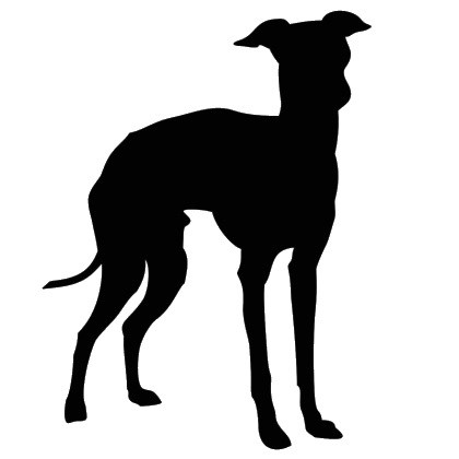Italian Greyhounds :: Avatar-Pinc